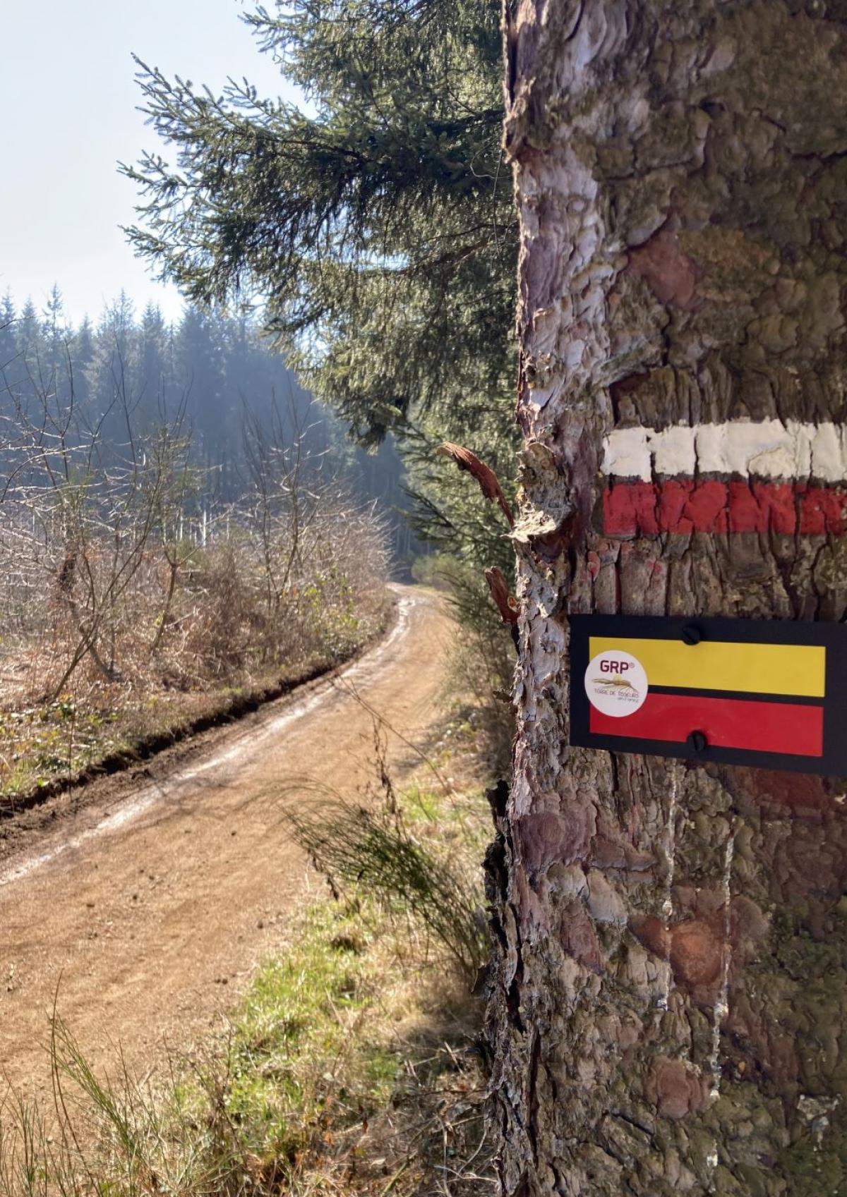 Forez Est | Loire Tourisme