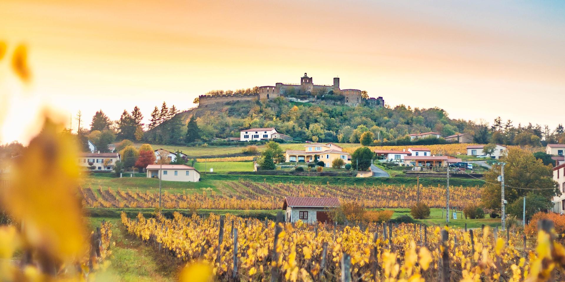 AOP Côtes du Forez | Loire Tourisme